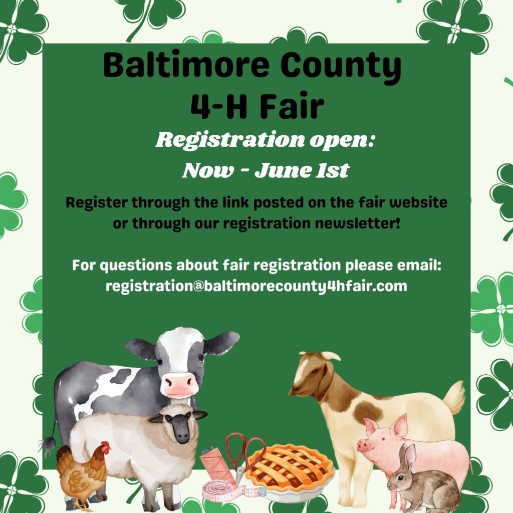 Baltimore County 4H fair